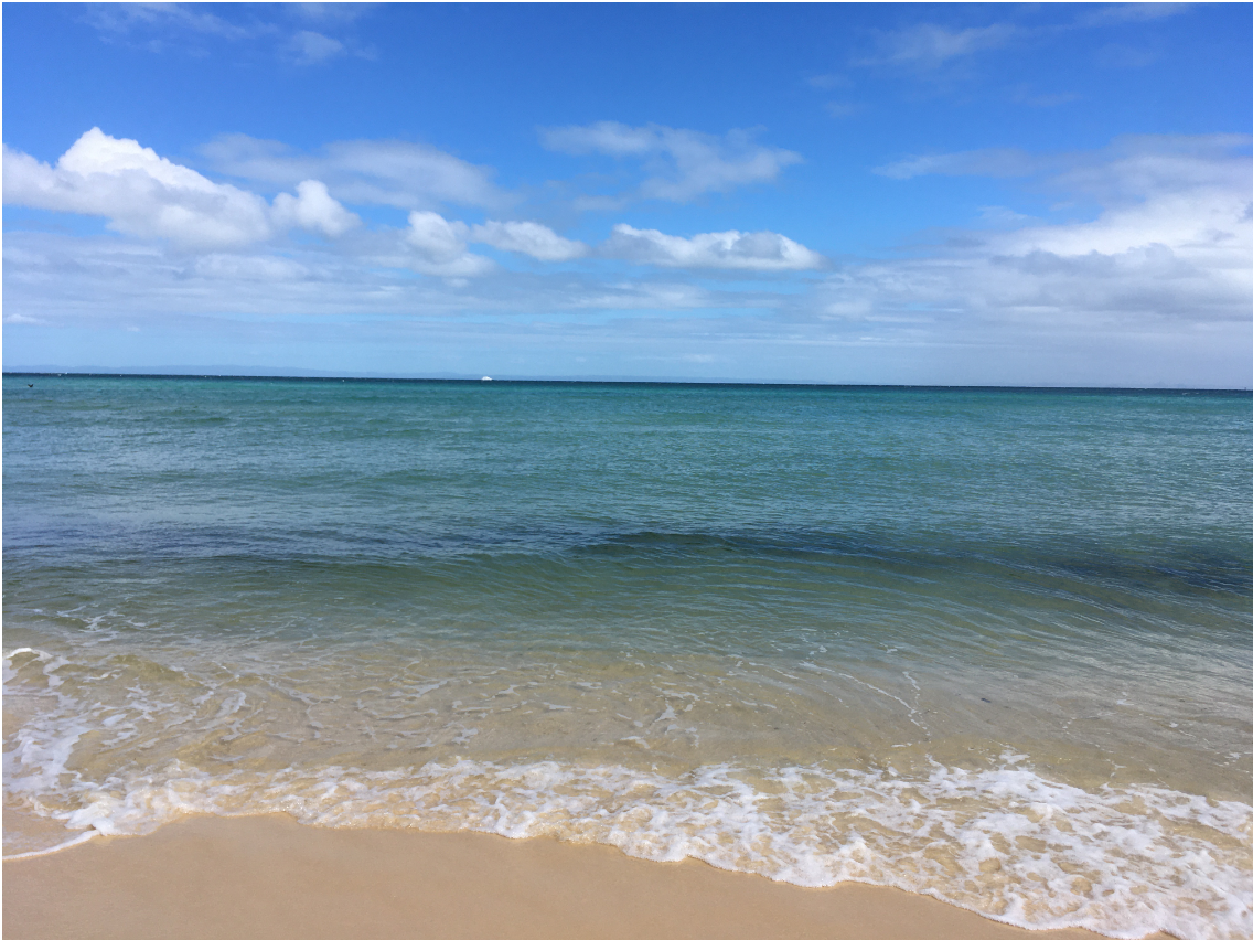 How to spend a weekend at Tangalooma Island Resort - Global Pawprints